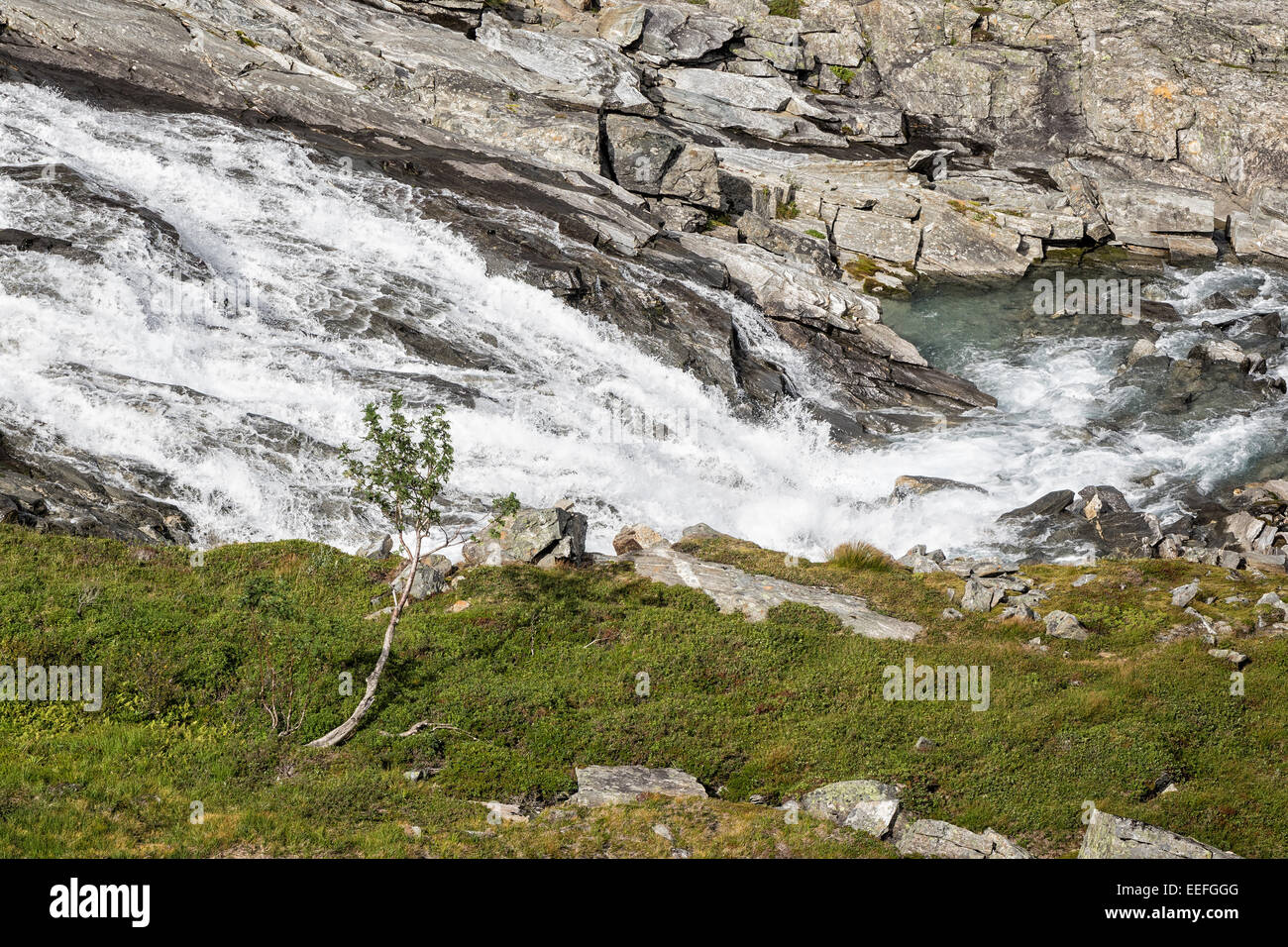 Trollstigen, norway hi-res stock photography and images - Alamy