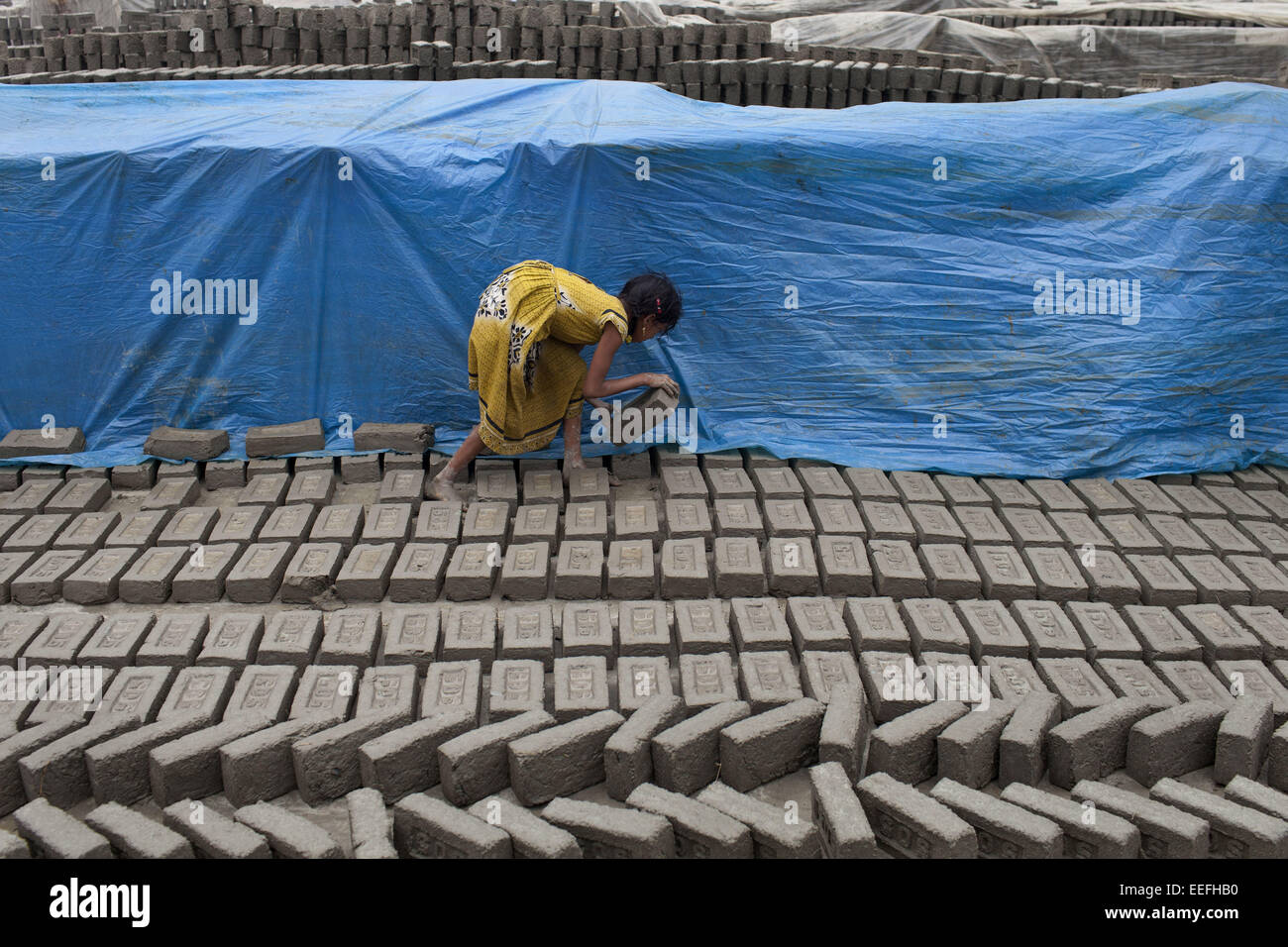 A child labour works in a brick factory in Dhaka on 17 January 2015. Most of the day laborers ...