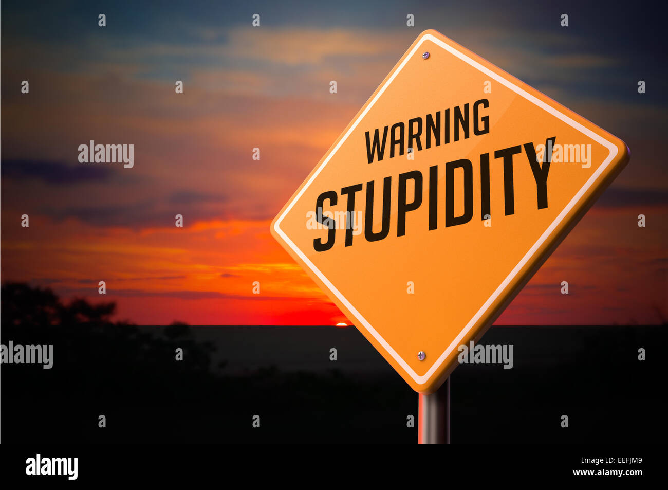 Sign That Says Stupid