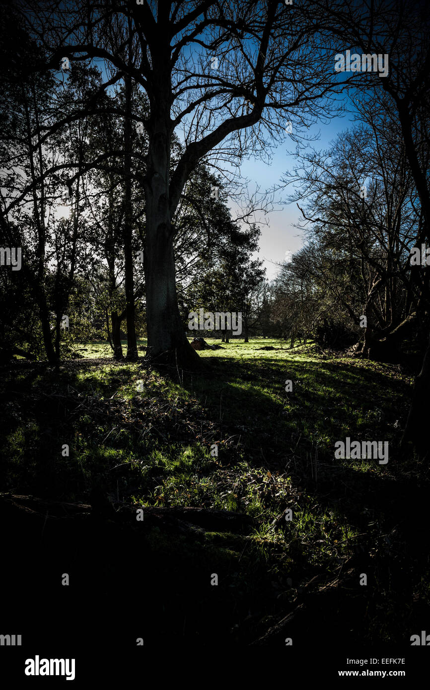 Atmospheric ghost light hi-res stock photography and images - Alamy