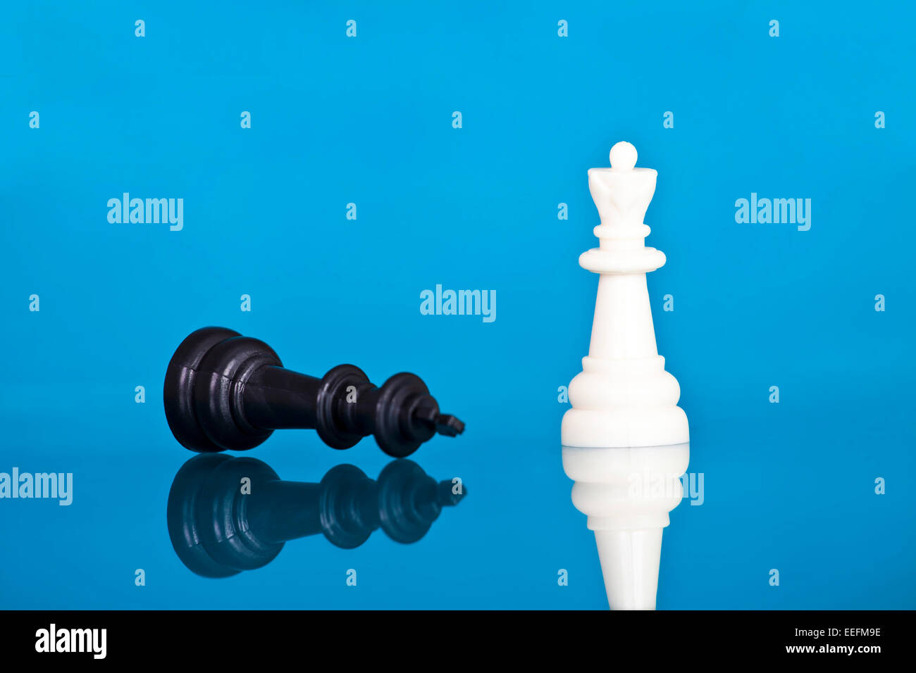 Checkmate - white defeats black on blue blackground Stock Photo - Alamy