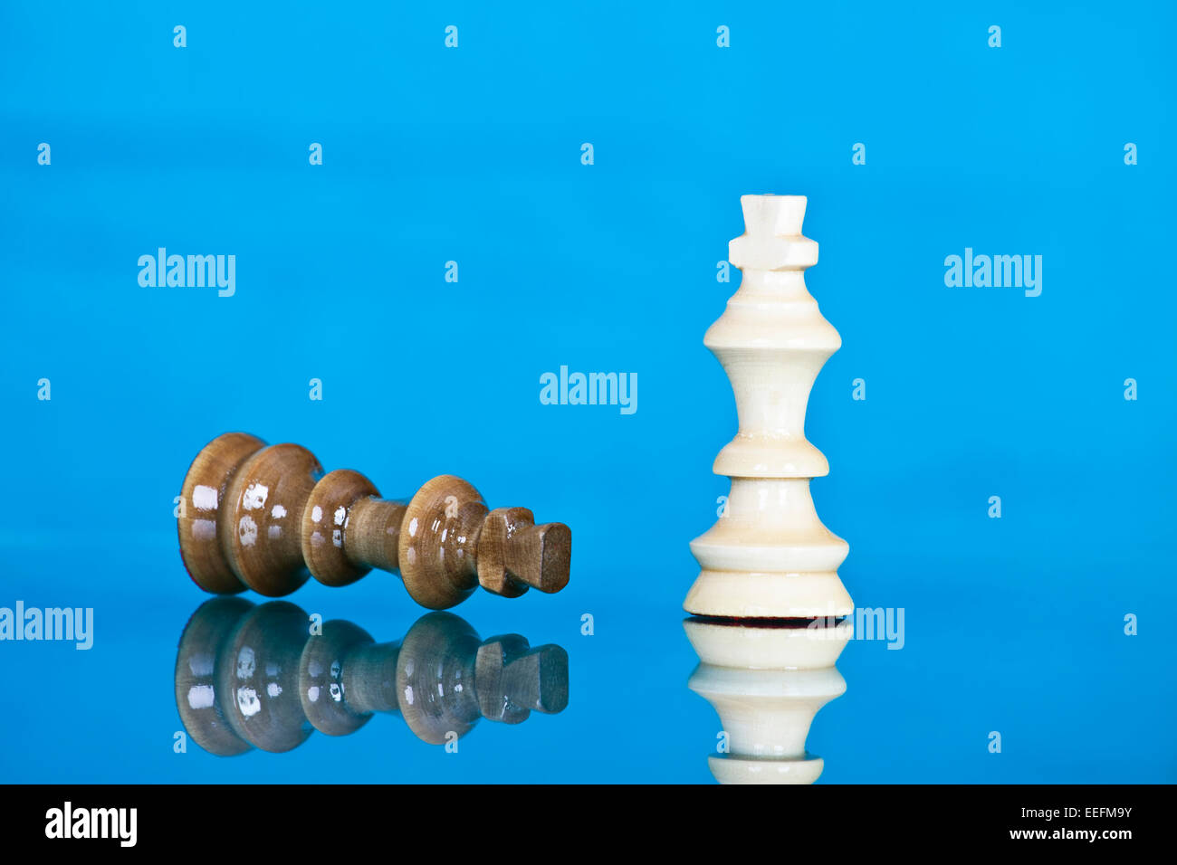 Checkmate - white defeats black on blue blackground Stock Photo - Alamy