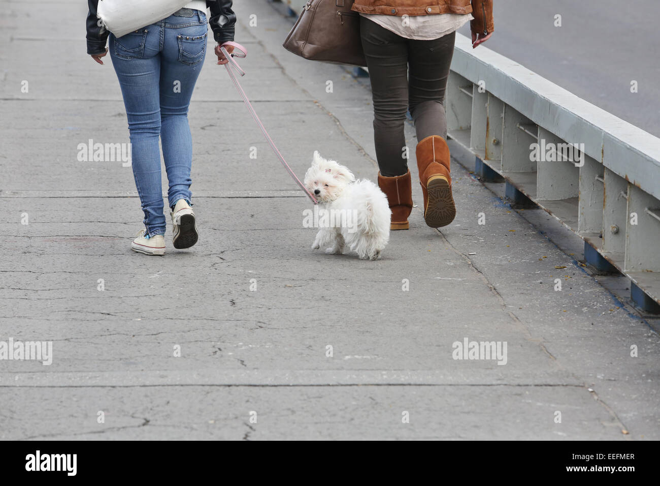 Maltese people hi-res stock photography and images - Alamy