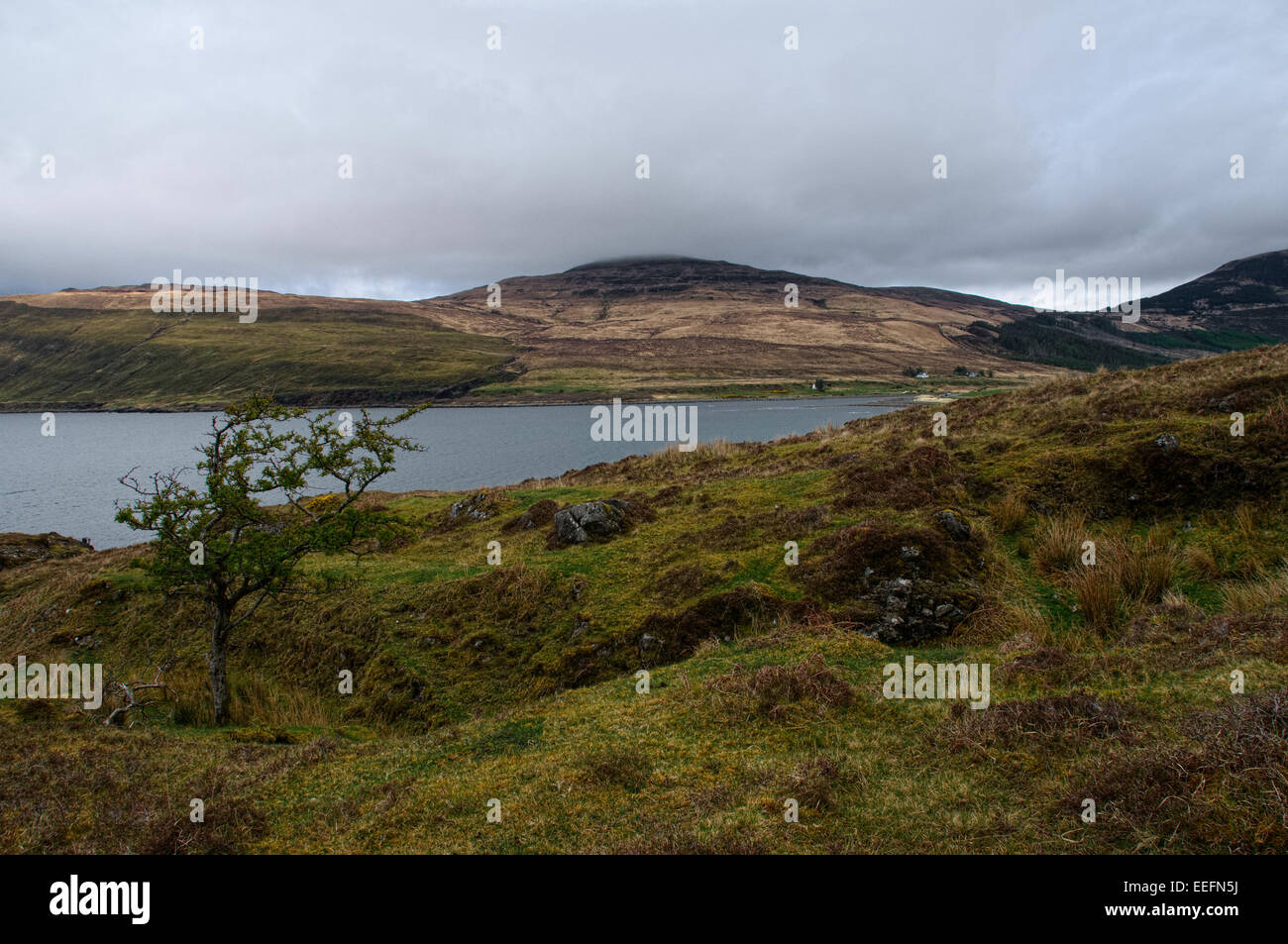 Isle of Skye, Inner Hebrides, Scotland Stock Photo - Alamy