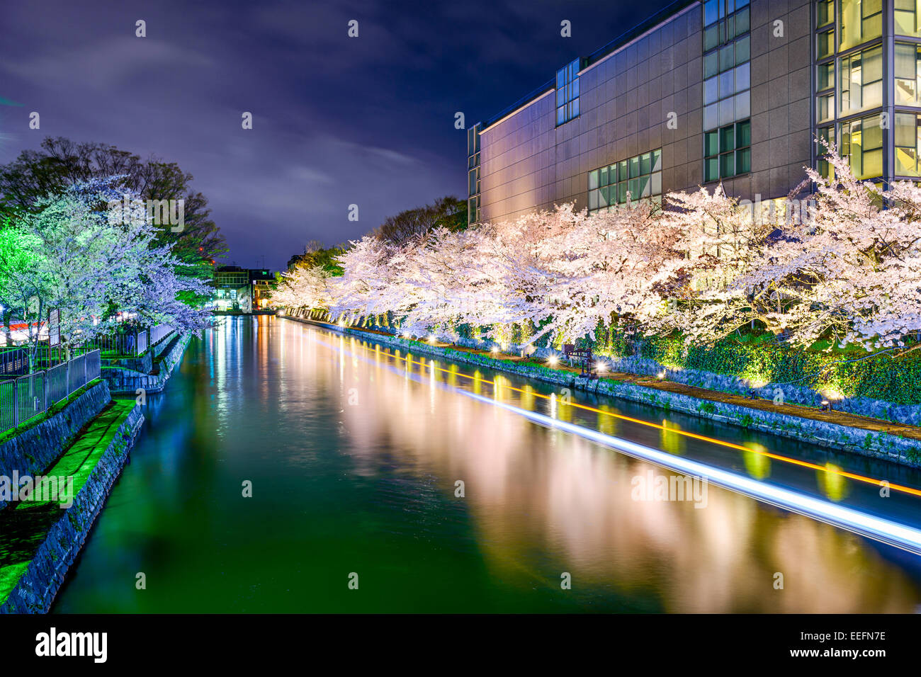 Kyoto, Japan at Okazaki Canal during the spring cherry blossom season ...