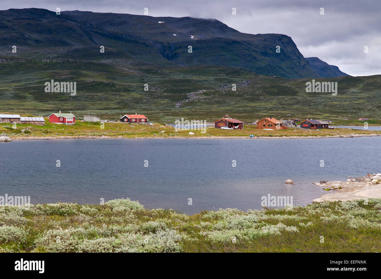 Deep green valley in Norway Stock Photo - Alamy