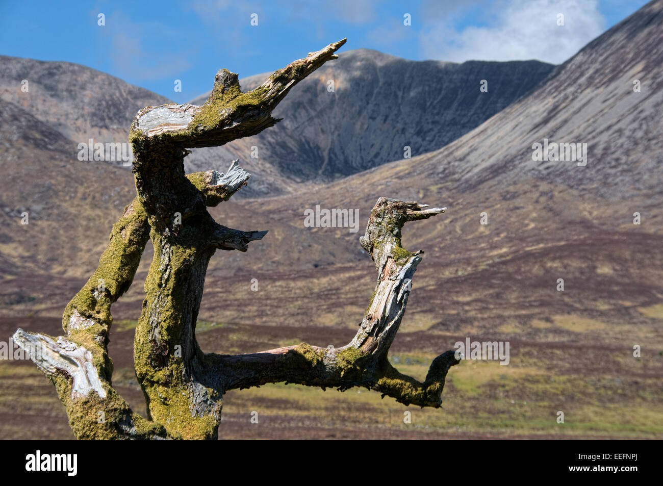 Isle of Skye, Inner Hebrides, Scotland Stock Photo - Alamy