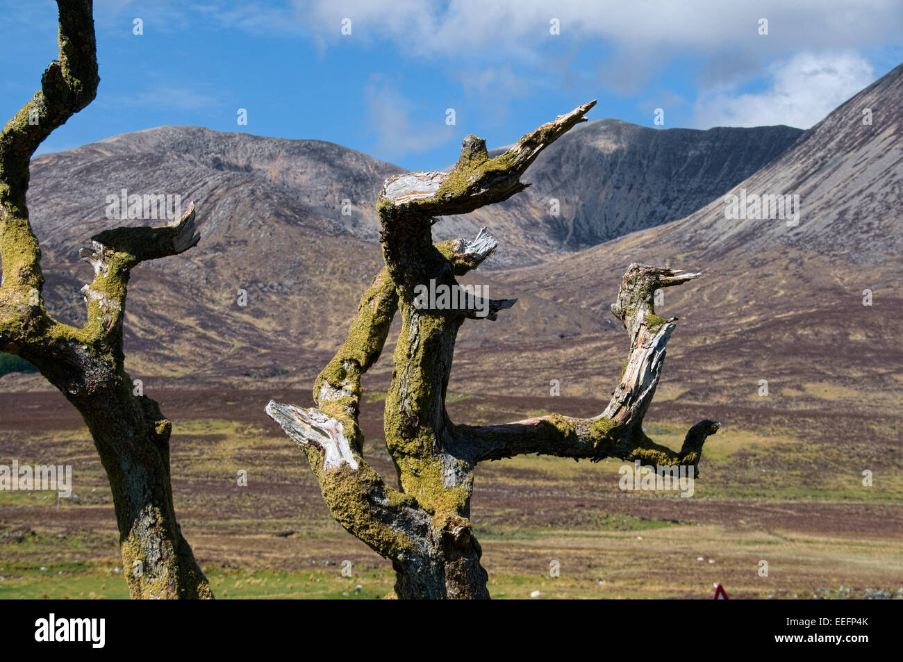 Isle of Skye, Inner Hebrides, Scotland Stock Photo - Alamy