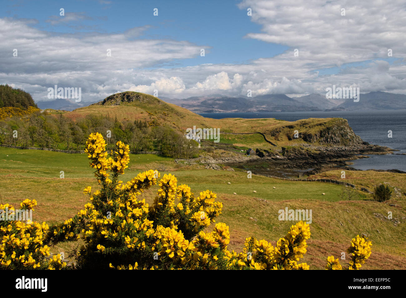 Isle of Skye, Inner Hebrides, Scotland Stock Photo - Alamy