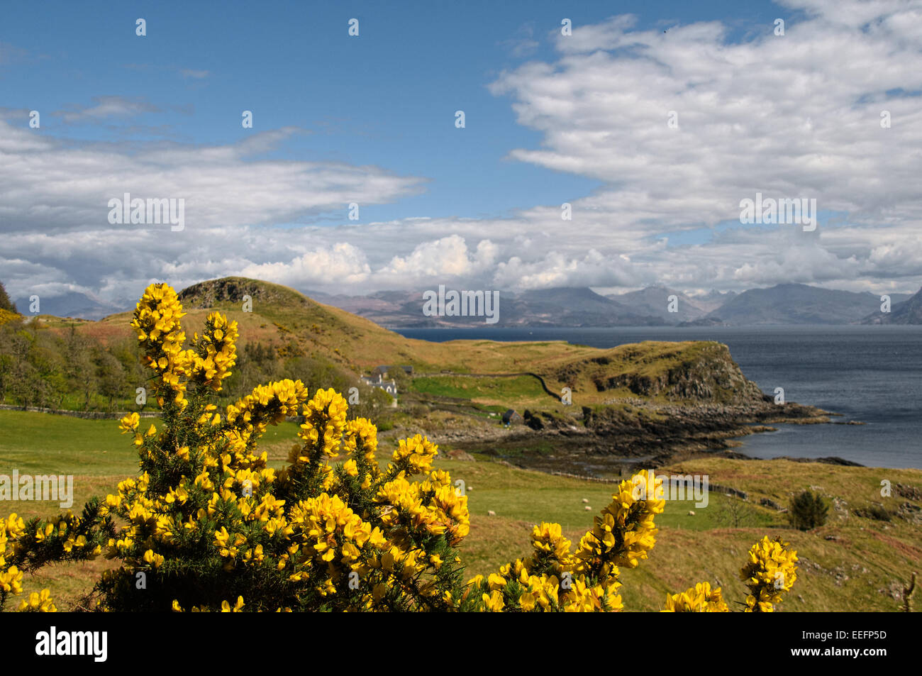 Isle of Skye, Inner Hebrides, Scotland Stock Photo - Alamy