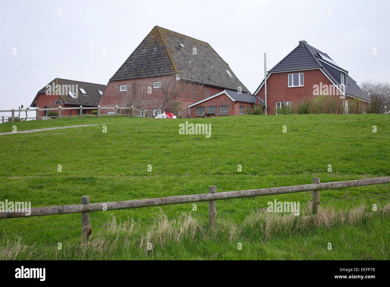 Holm Hooge Island Hooge High Resolution Stock Photography and Images ...