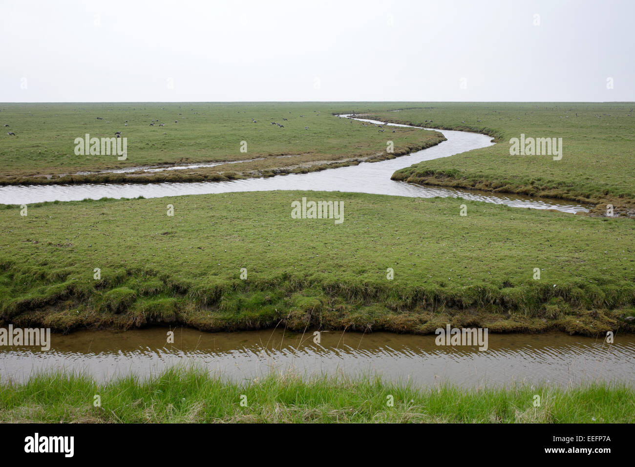 Holm Hooge Island Hooge High Resolution Stock Photography and Images ...