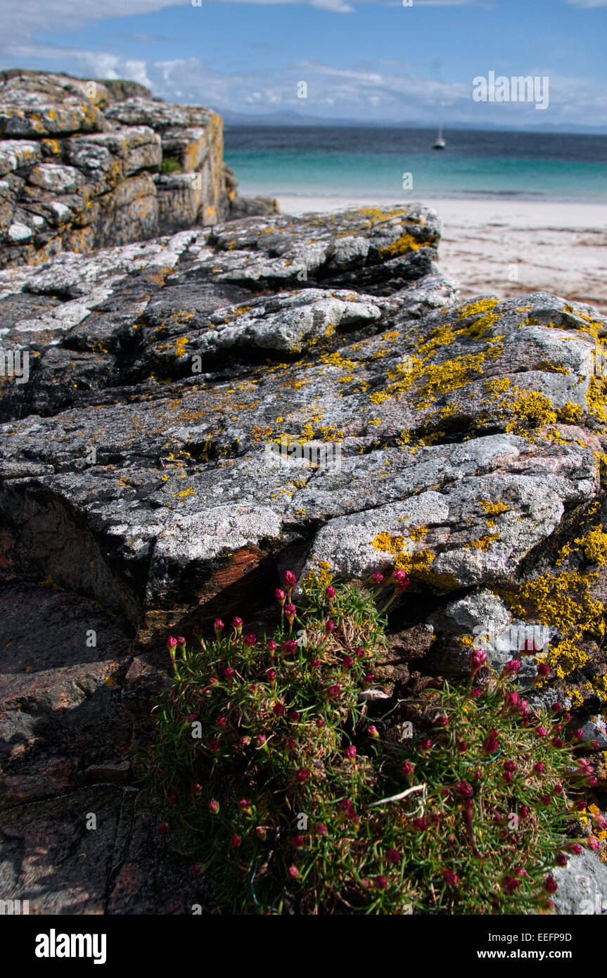 Isle of Skye, Inner Hebrides, Scotland Stock Photo - Alamy