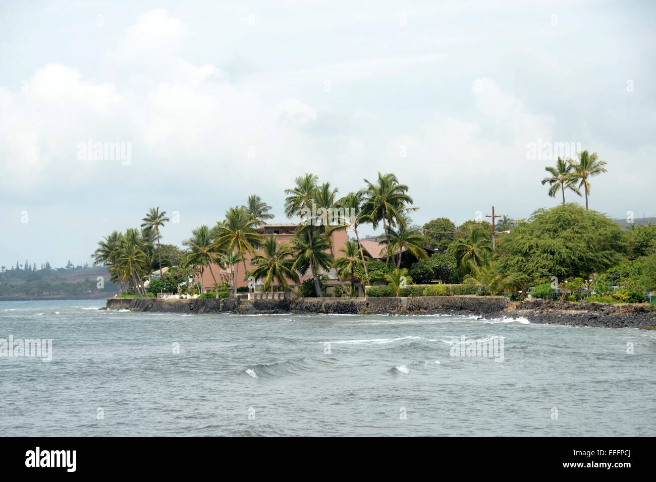 Rugged exotic coastline from a Pacific island Stock Photo - Alamy