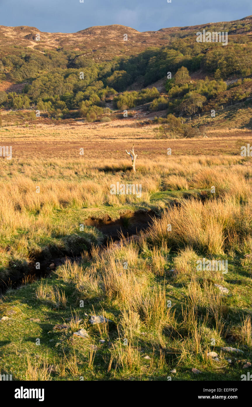 Isle of Skye, Inner Hebrides, Scotland Stock Photo - Alamy