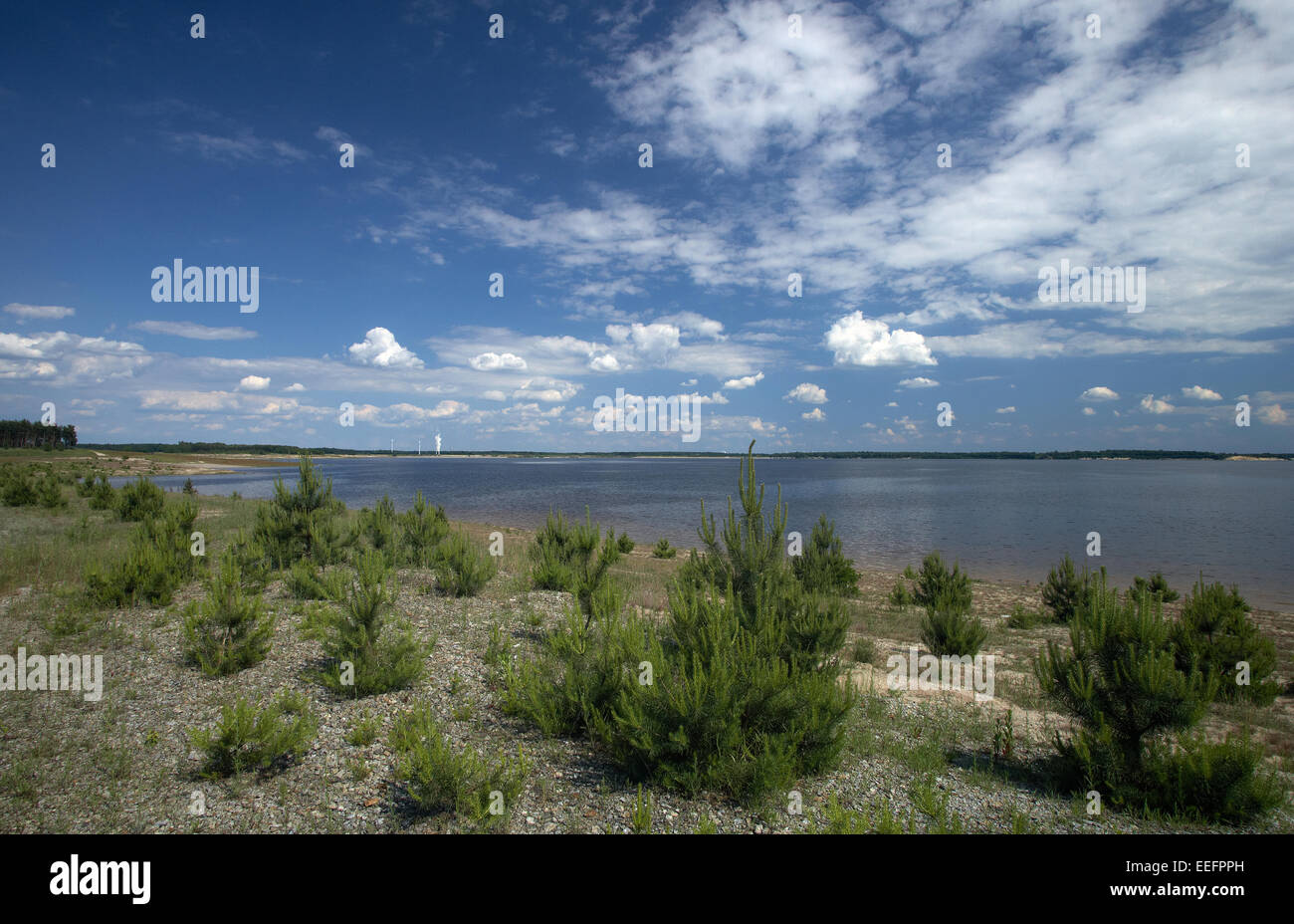 Senftenberg, Germany, floating pontoon with Sitzbaenken halved in ...