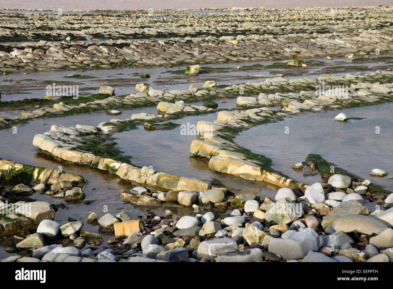 Kilve somerset England UK Stock Photo - Alamy