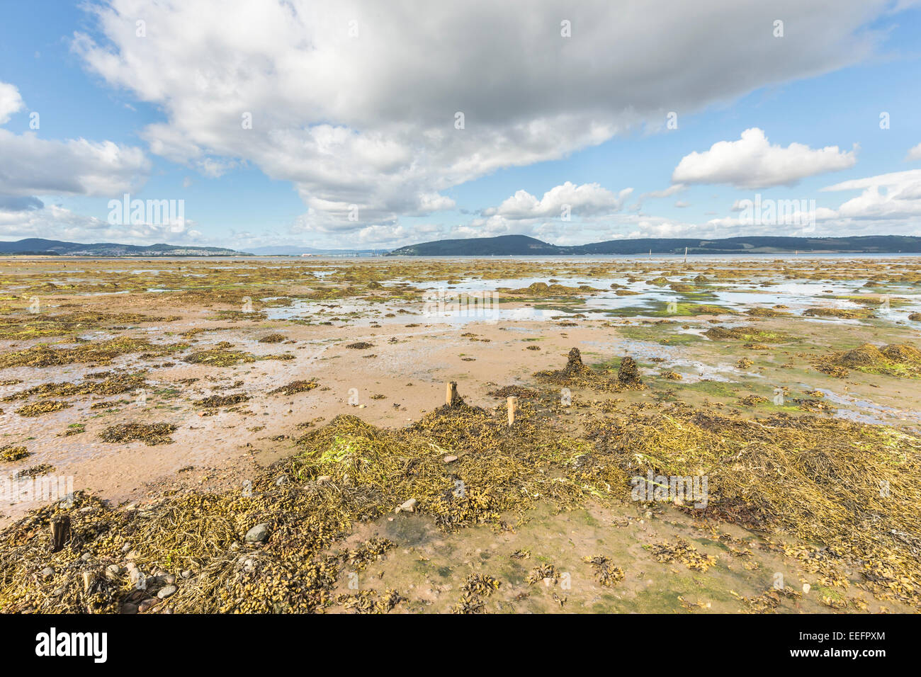 Beauty firth hi-res stock photography and images - Alamy
