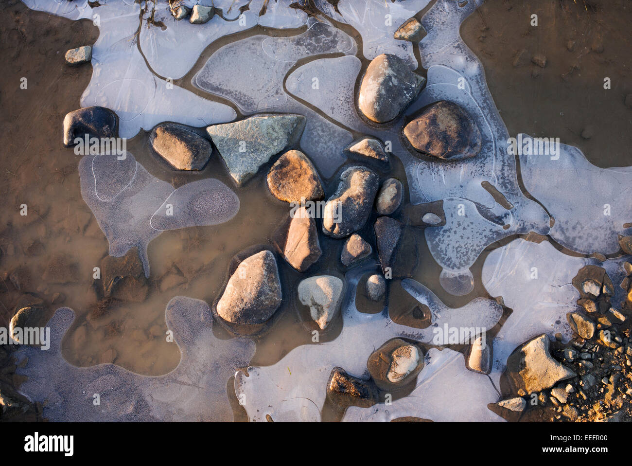 Water puddle hi-res stock photography and images - Alamy