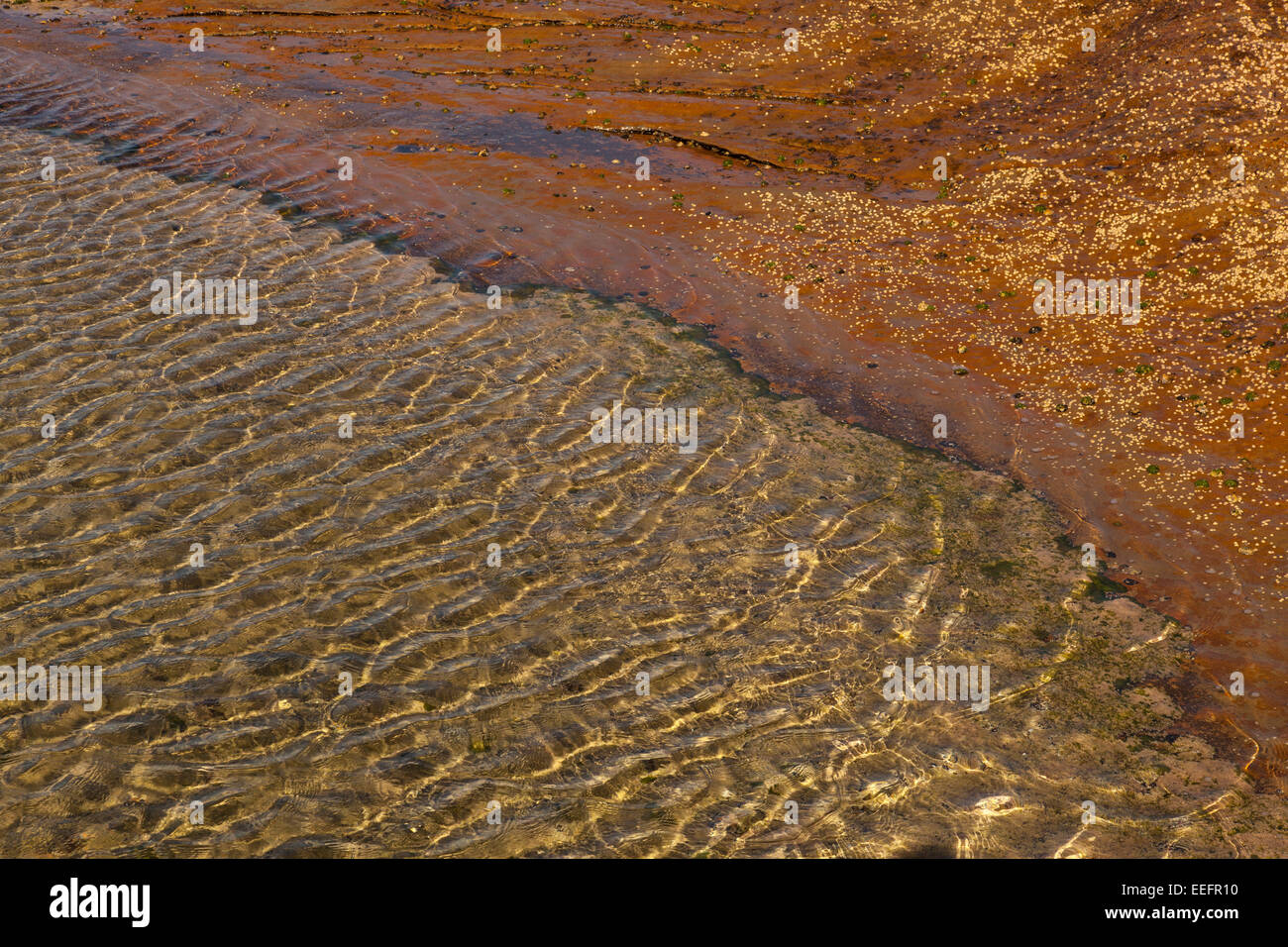 Water ripple close hi-res stock photography and images - Alamy