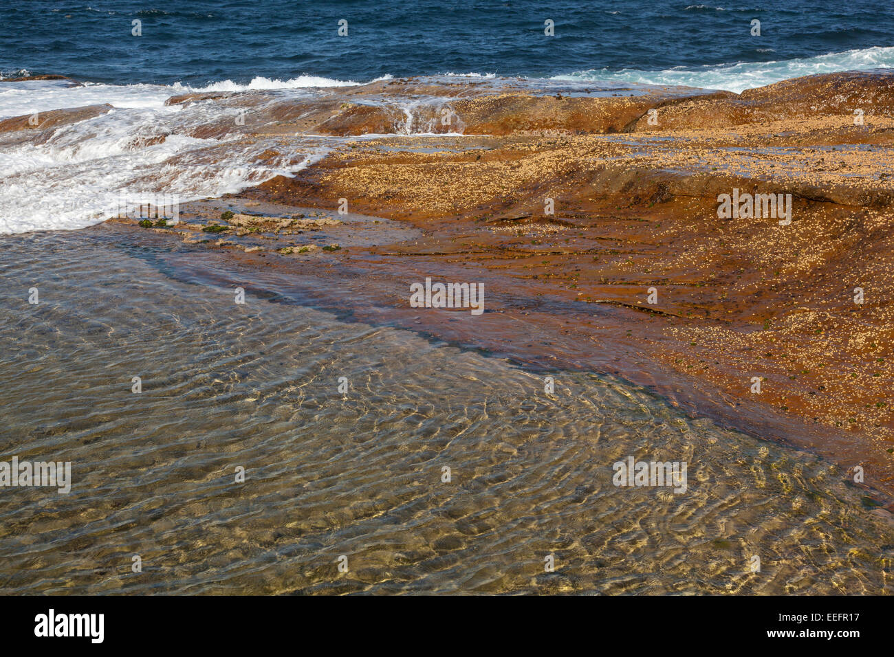 A detail of a rockpool meeting the ocean in Sydney, Australia Stock ...