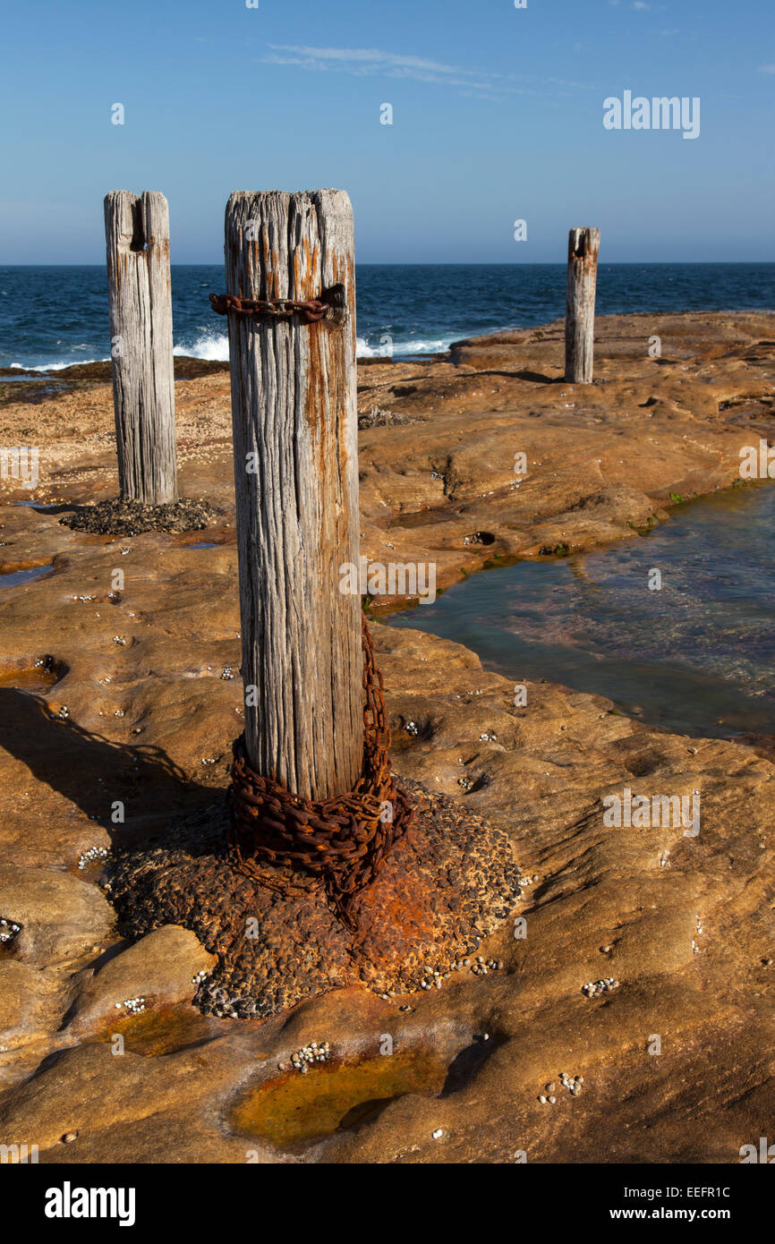 Sydney rockpool hi-res stock photography and images - Alamy