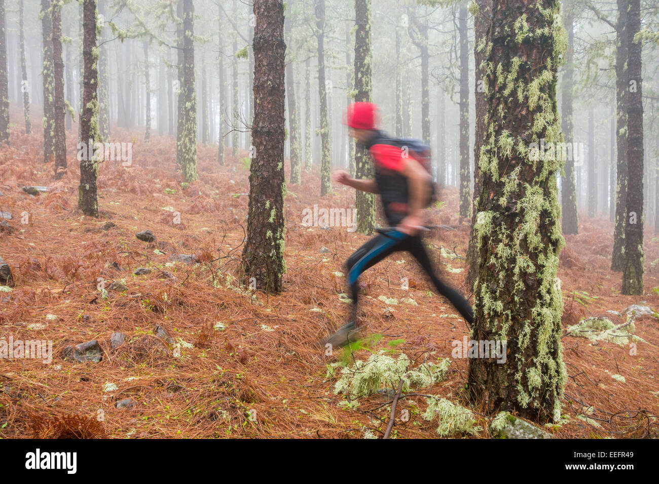 Runner training for ultra marathon race running through mist shrouded ...