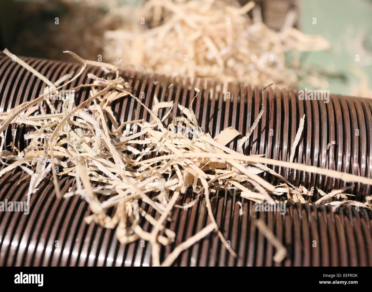 Berlin, Germany. 17th Jan, 2015. Shredded Stasi files lie in a display ...