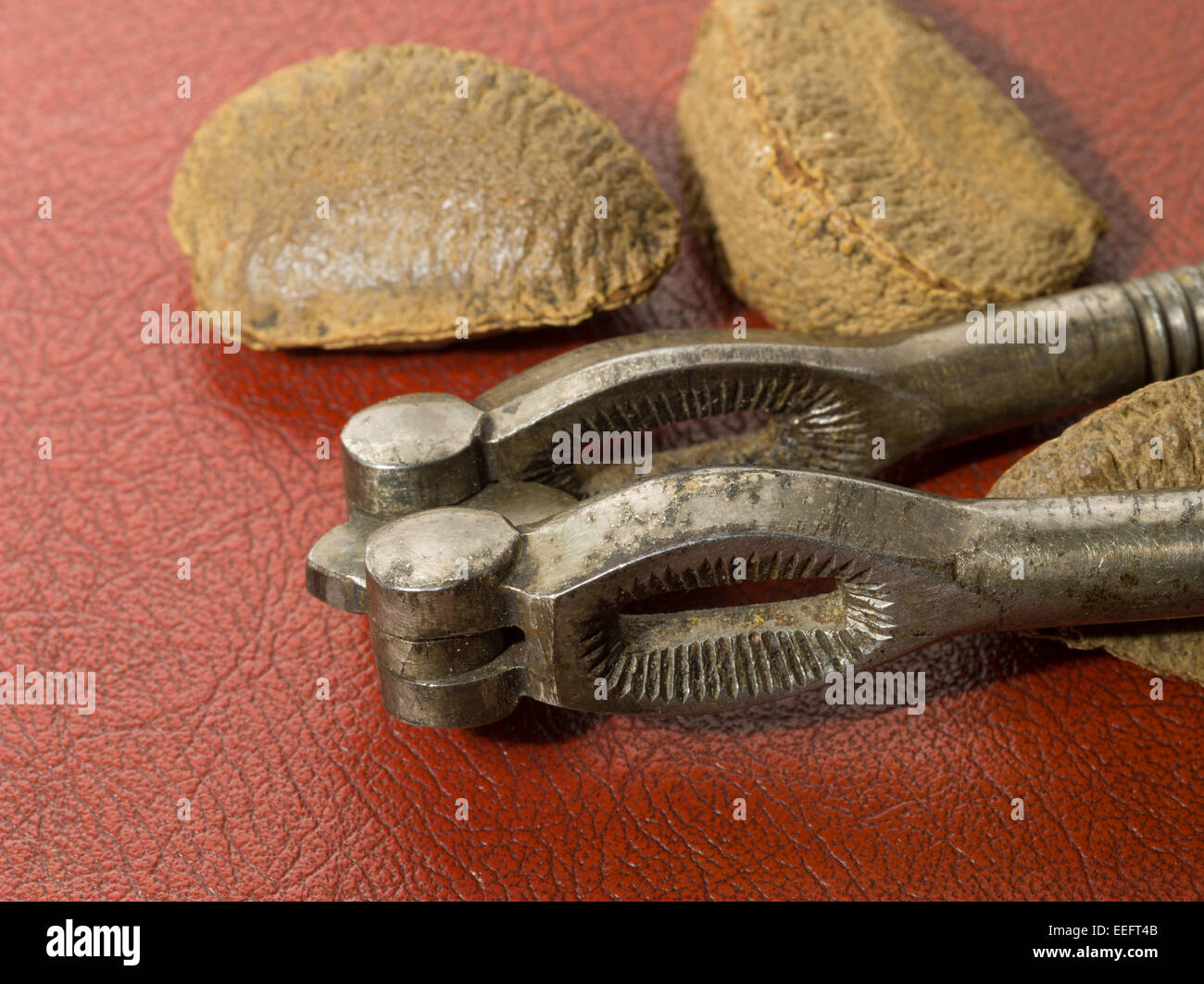 Cracker texture hi-res stock photography and images - Alamy