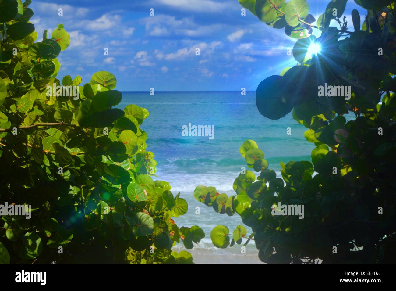 beautiful beach scene Stock Photo - Alamy