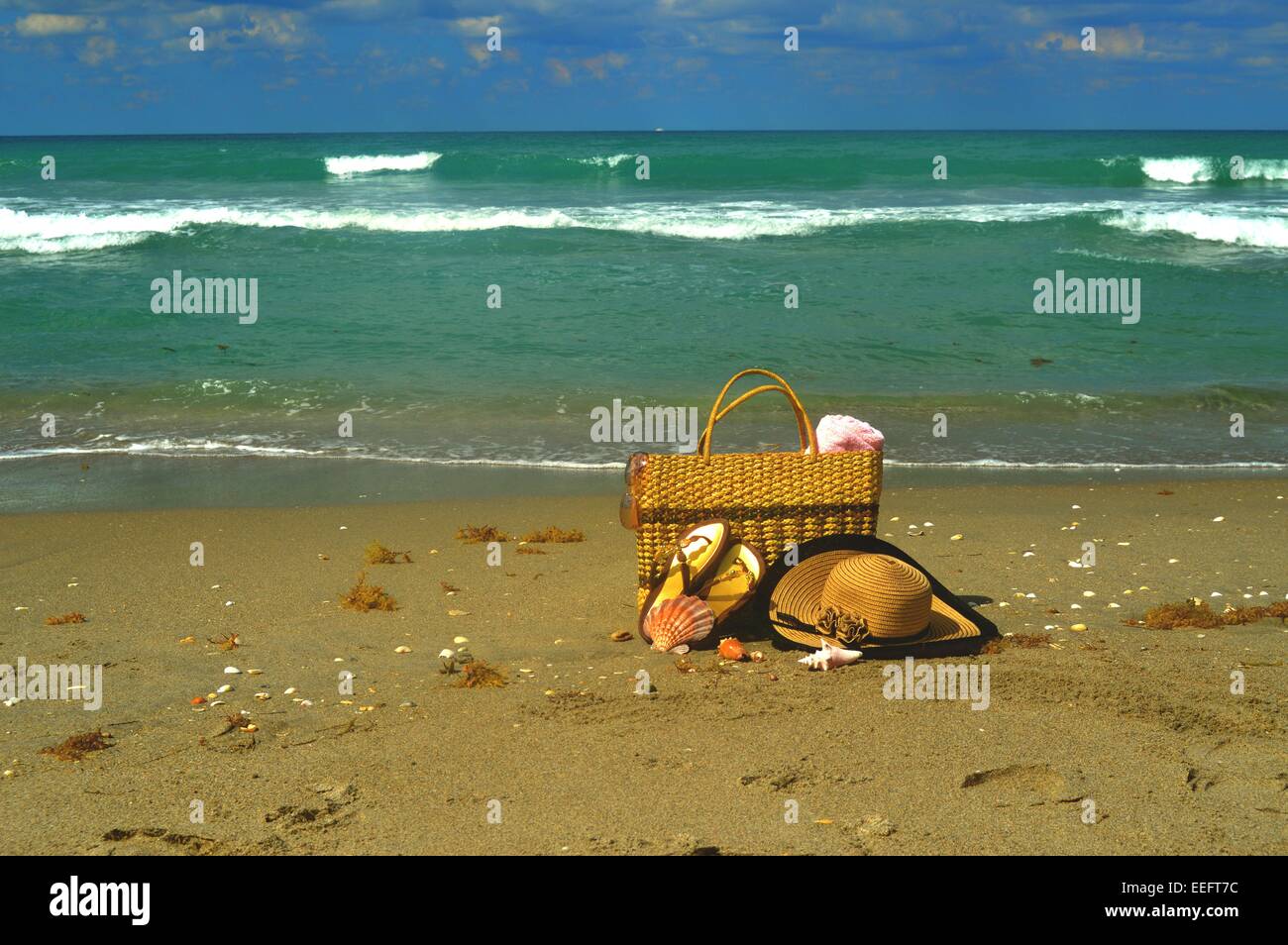 fun at the beach Stock Photo - Alamy