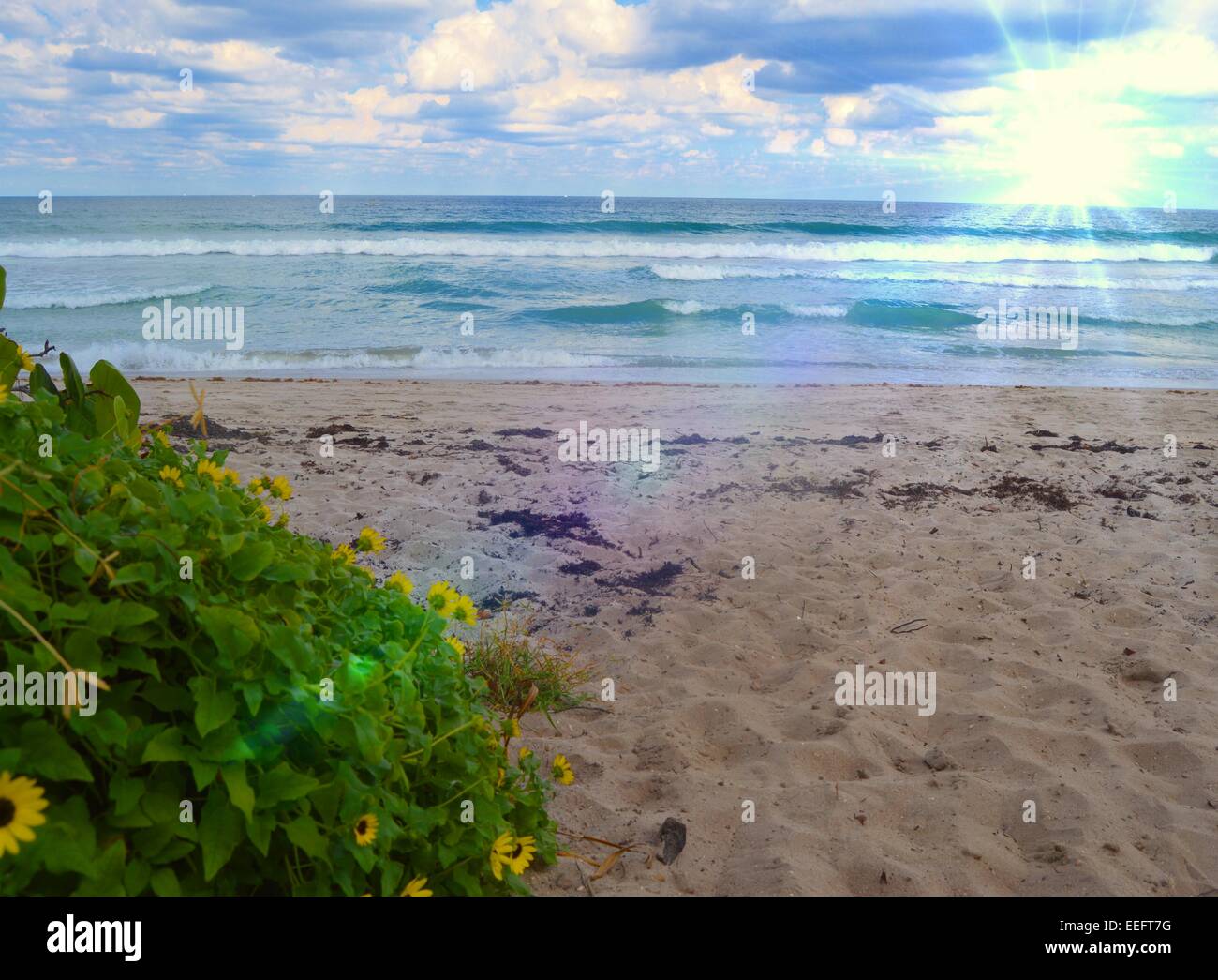 beautiful beach scene Stock Photo - Alamy