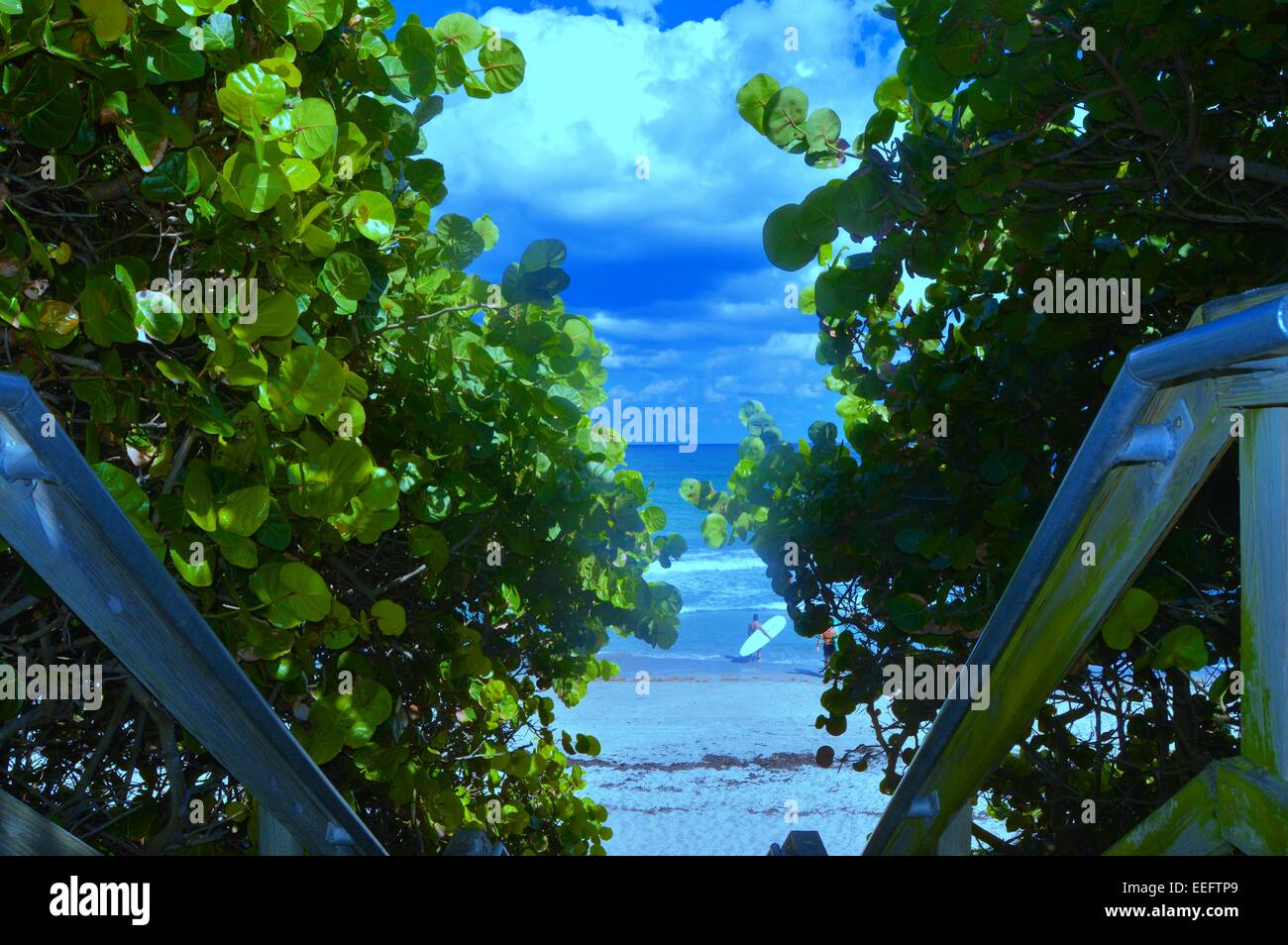 Beautiful beach scene hi-res stock photography and images - Alamy