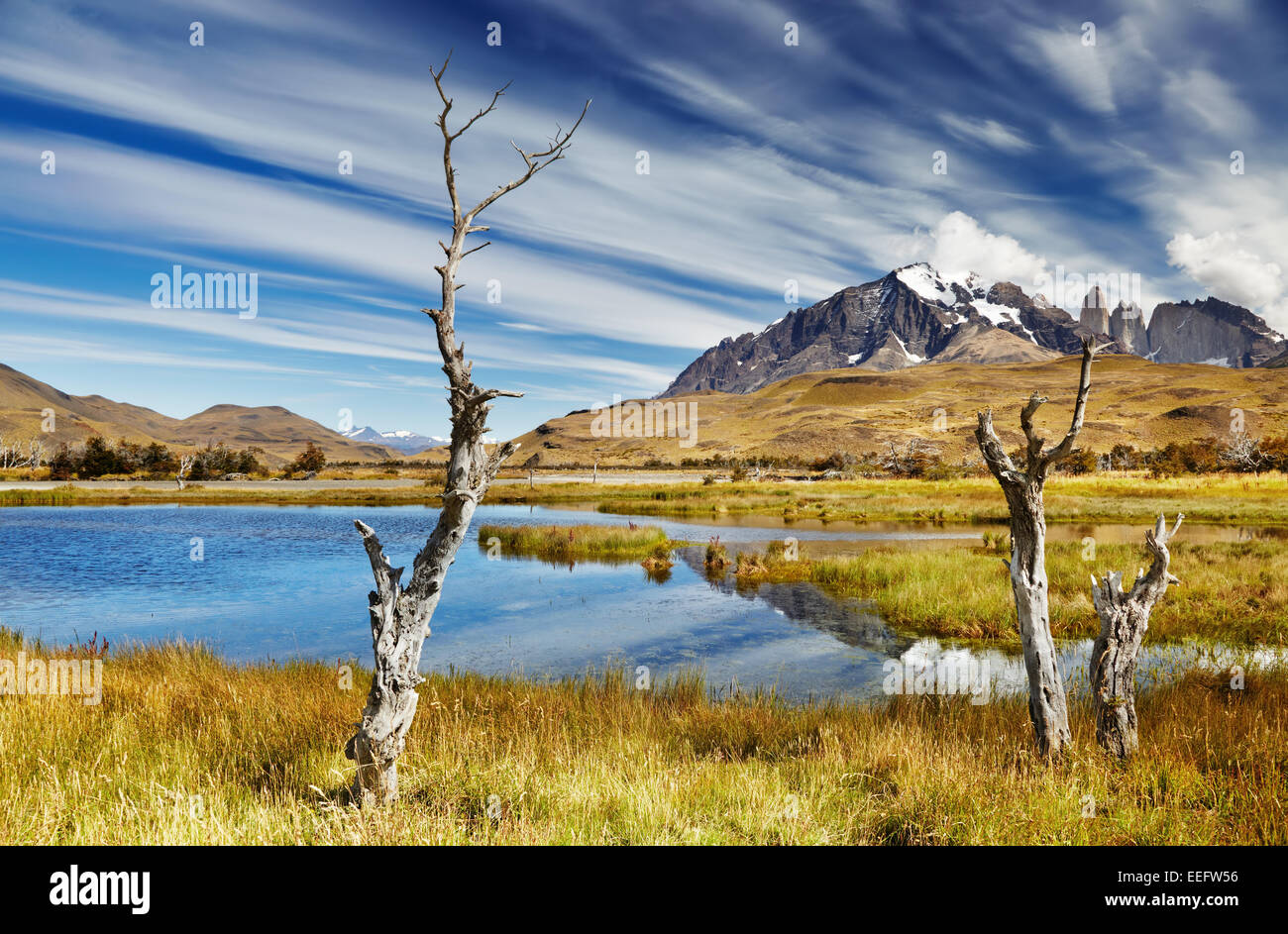 Chile landscape mountains tree hi-res stock photography and images - Alamy