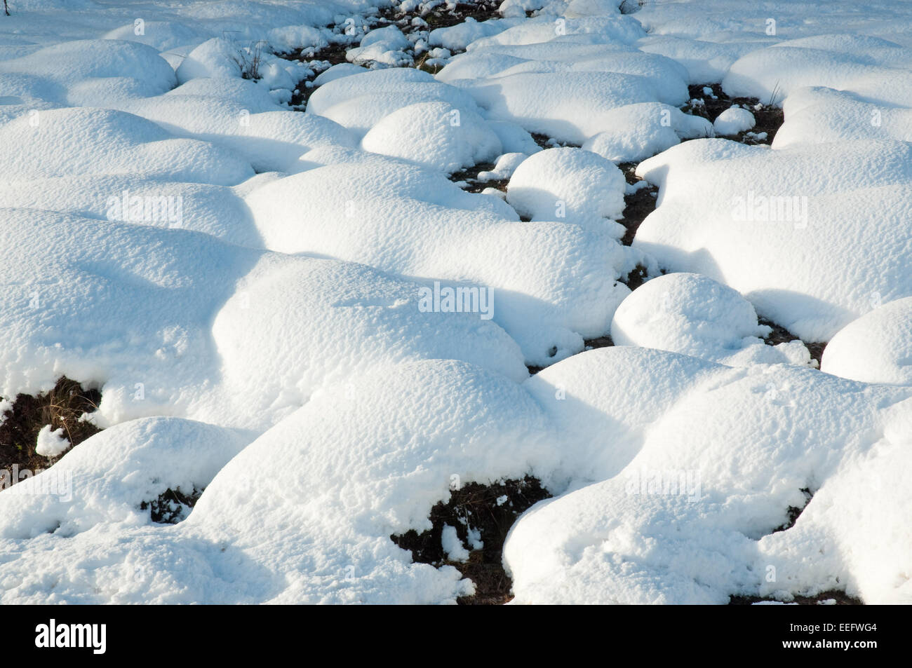 Burn by freezing hi-res stock photography and images - Alamy