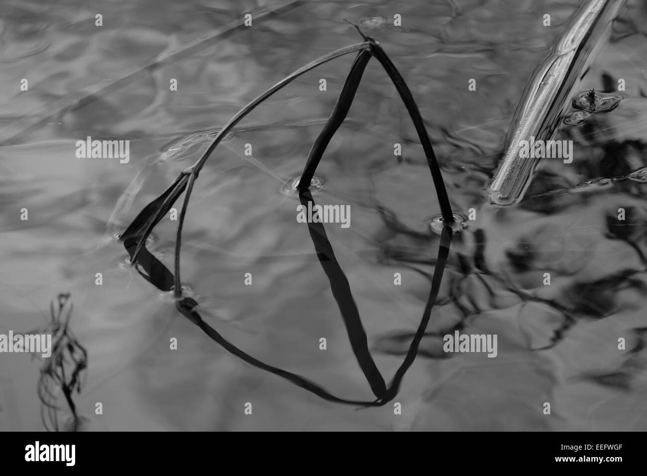 Abstract water reflect Black and White Stock Photos & Images - Alamy