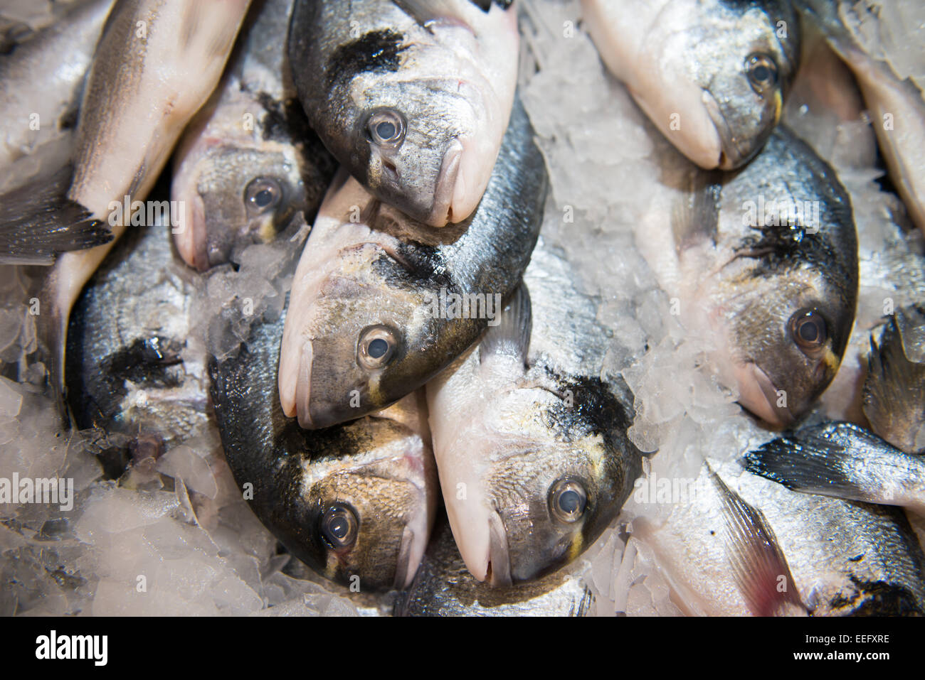 Fish on ice Stock Photo - Alamy