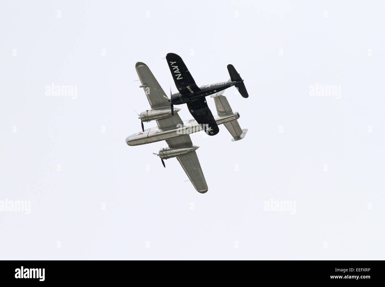 Flying bulls hi-res stock photography and images - Alamy