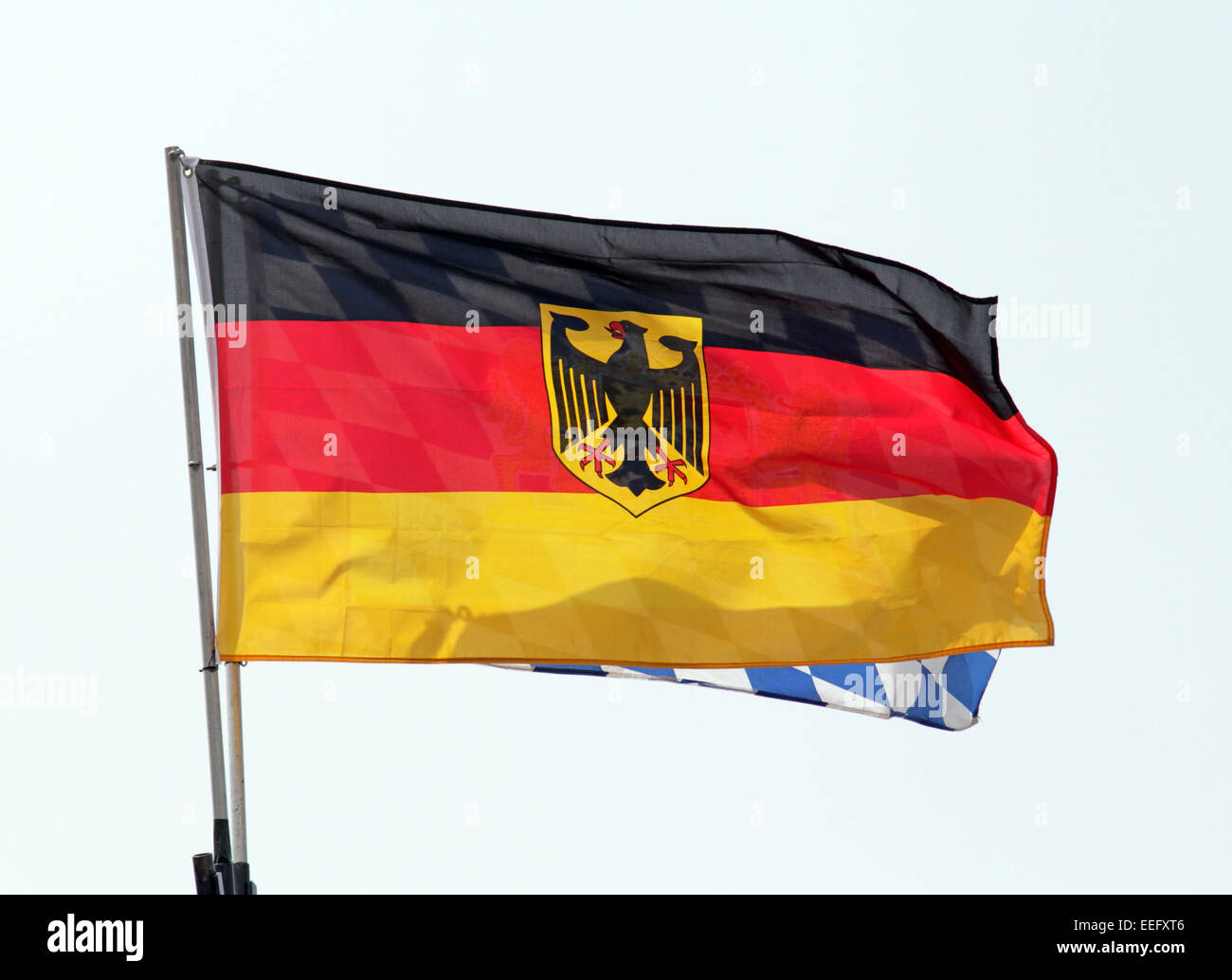 Germany flag eagle hi-res stock photography and images - Alamy