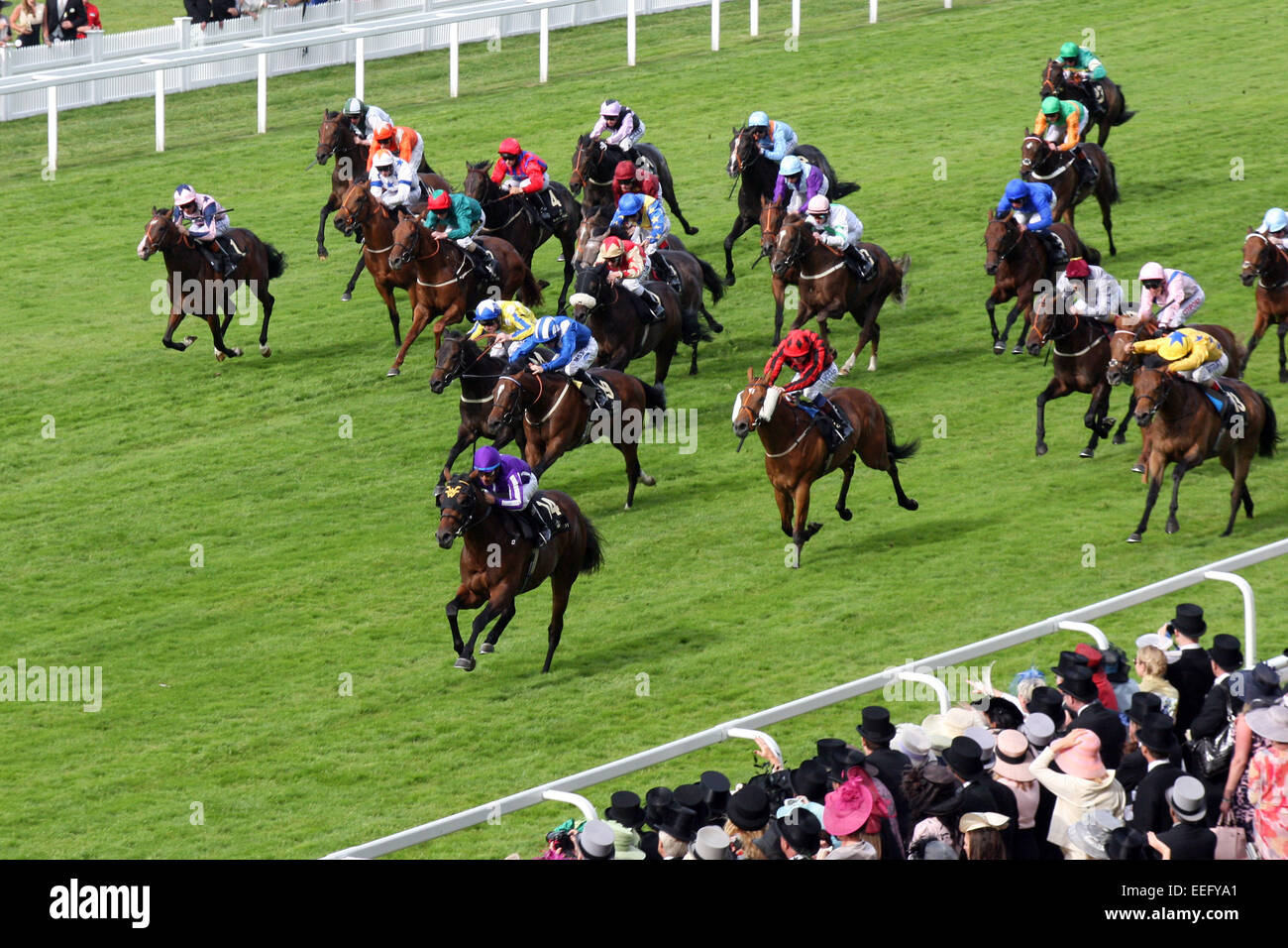 Royal Ascot, Overview, racing at Royal Ascot Stock Photo - Alamy