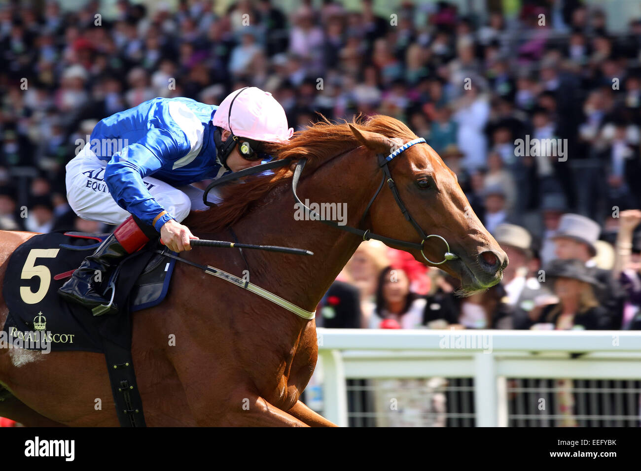 Royal Ascot, Mustajeeb with Pat Smullen up wins the Jersey Stakes Stock ...
