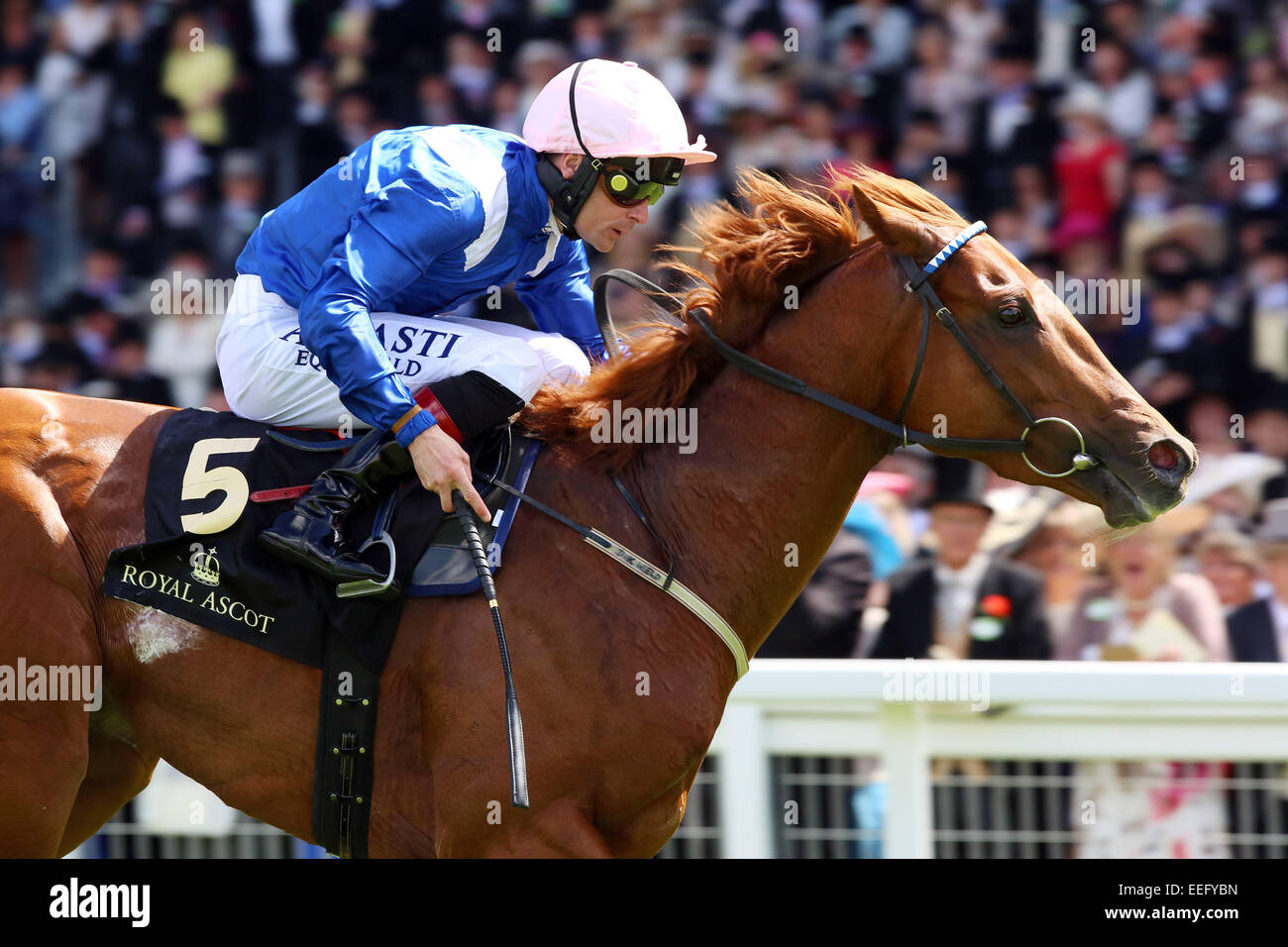 Royal Ascot, Mustajeeb with Pat Smullen up wins the Jersey Stakes Stock ...