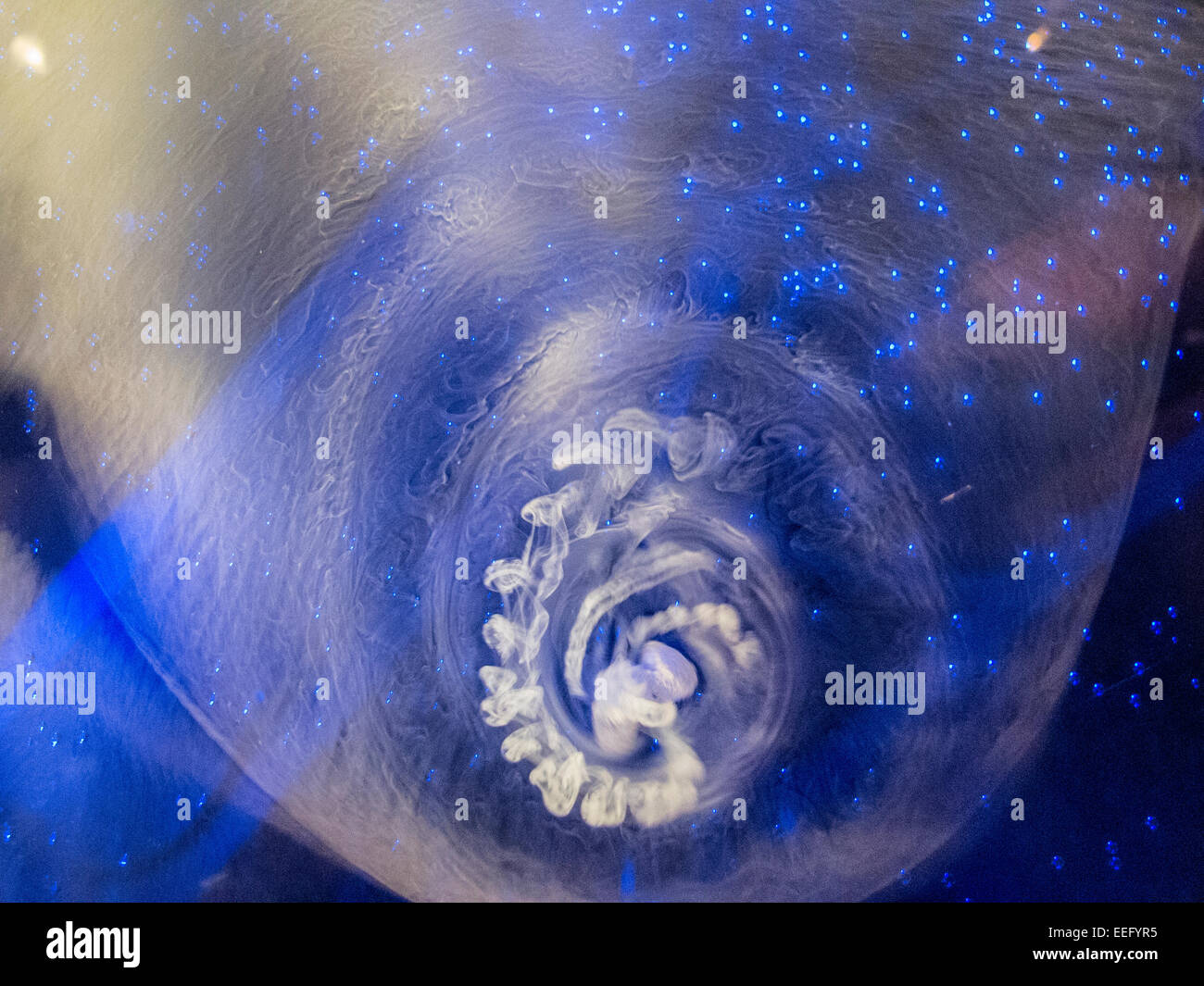 Dry ice particles move in liquid creating interesting wavy patterns ...