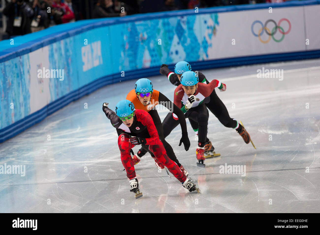 Short Track Speed Skating at the Olympic Winter Games, Sochi 2014 Stock ...