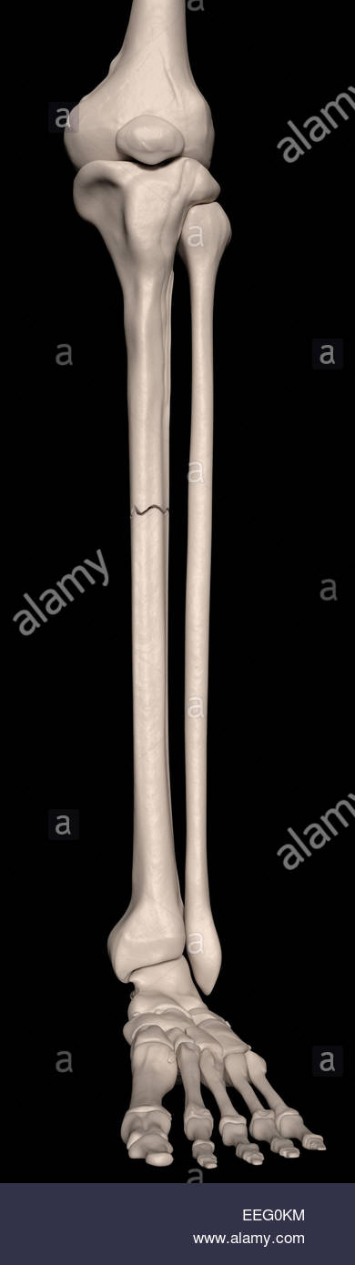 Transverse View High Resolution Stock Photography and Images - Alamy