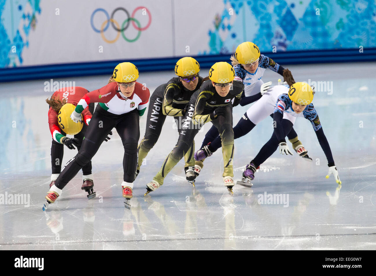 Short Track Speed Skating at the Olympic Winter Games, Sochi 2014 Stock ...