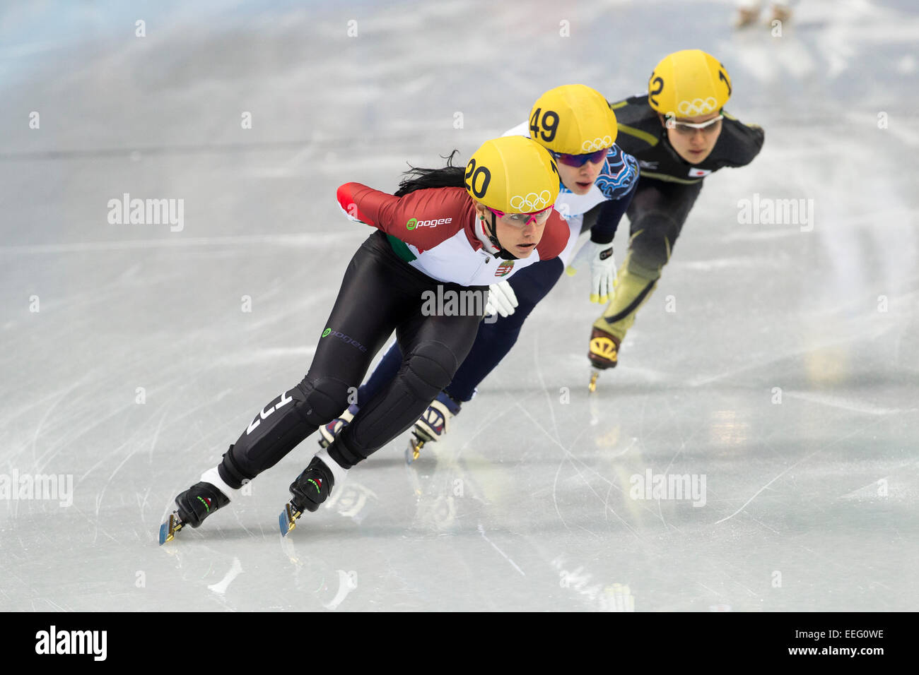 Short Track Speed Skating at the Olympic Winter Games, Sochi 2014 Stock ...