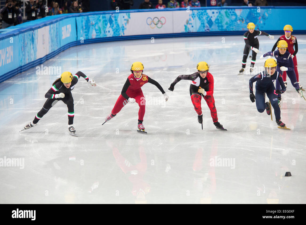 Short Track Speed Skating at the Olympic Winter Games, Sochi 2014 Stock ...