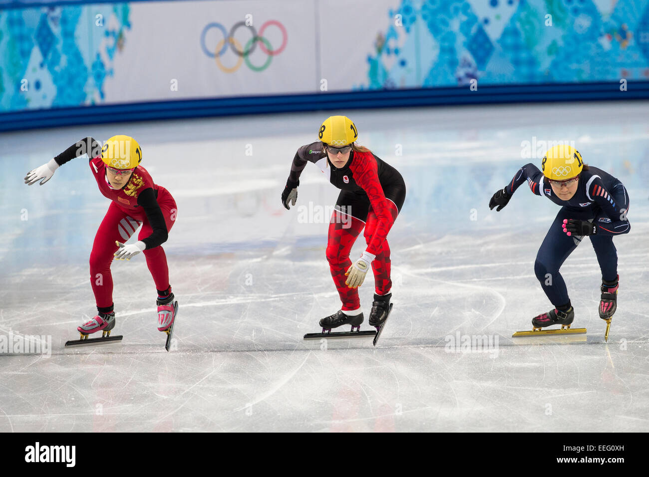 Short Track Speed Skating at the Olympic Winter Games, Sochi 2014 Stock ...