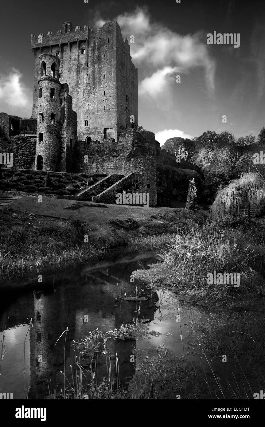 Kings of desmond hi-res stock photography and images - Alamy